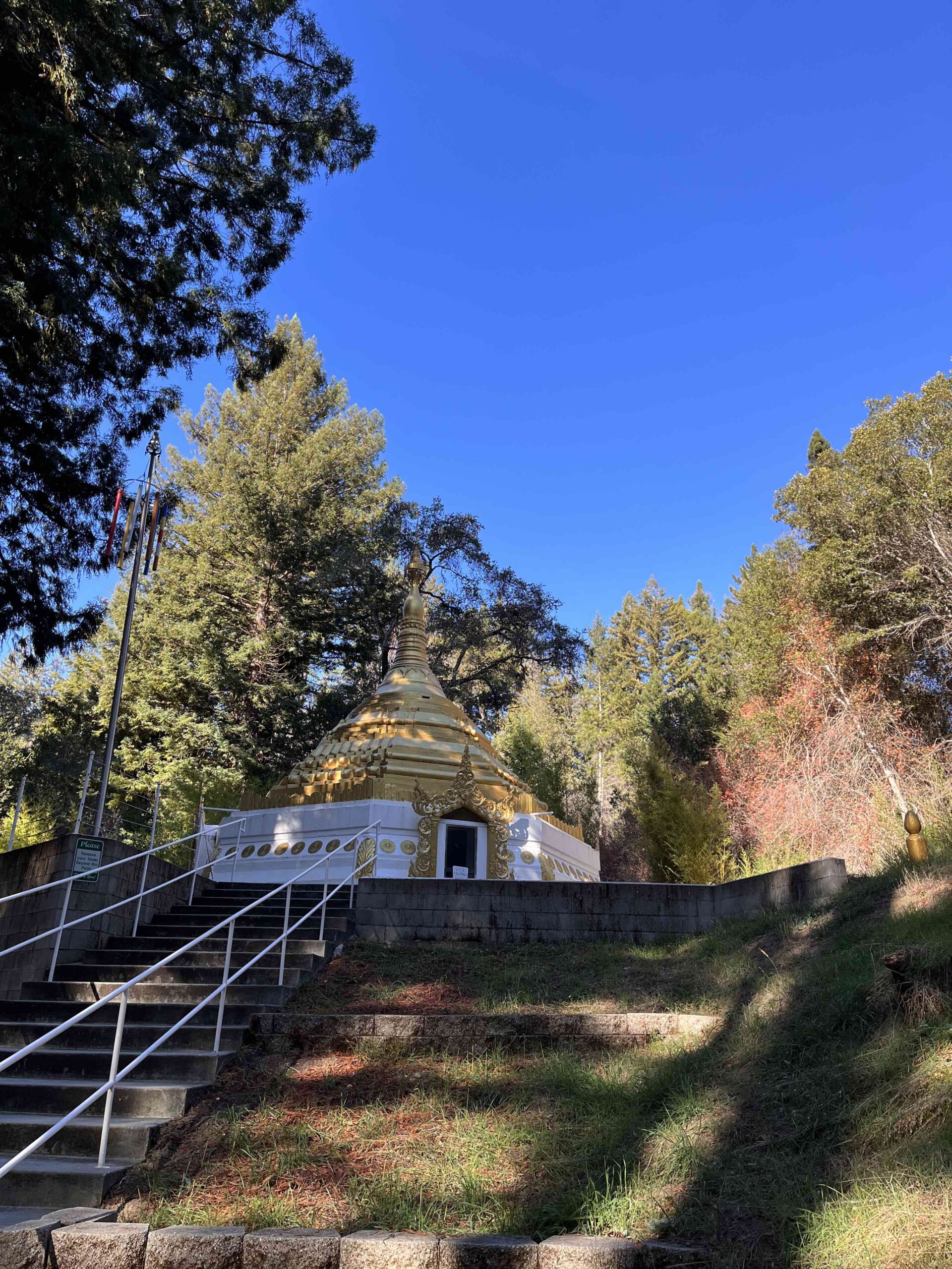 Buddhism Amidst Redwoods – The Motorcycle Monologues